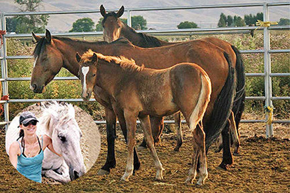 A good deed | The Astorian