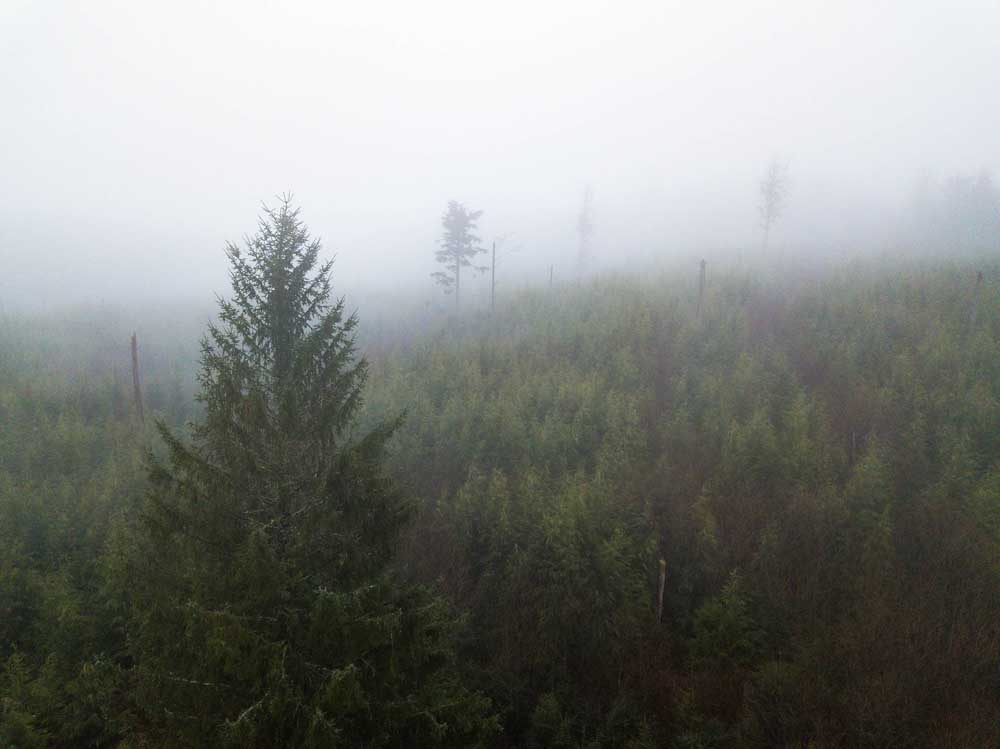 County leaders critical of habitat conservation plan | The Astorian