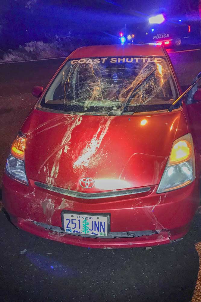 Elk mounts a car in Warrenton, raising concern about animals on the ...