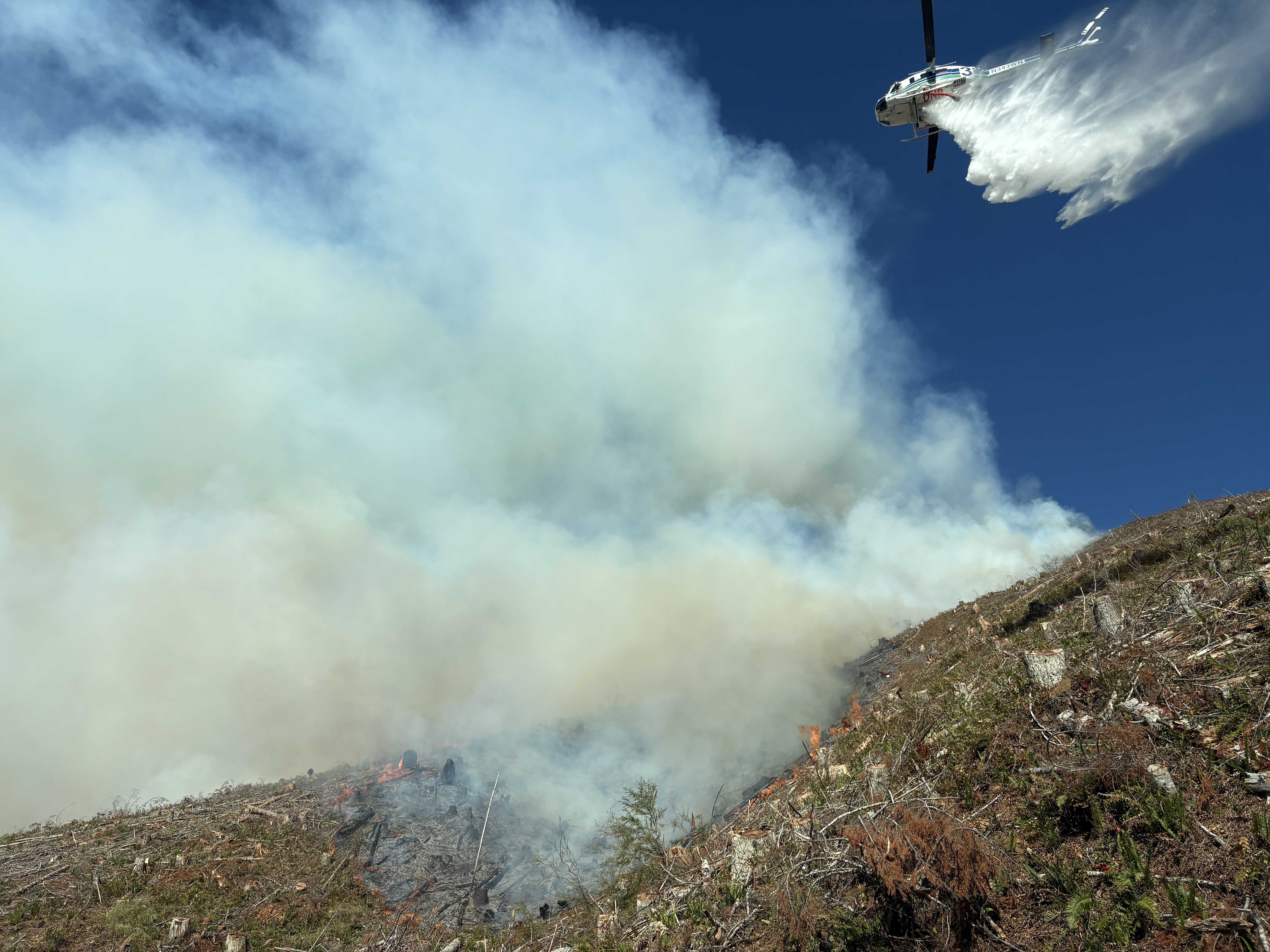 Clatsop State Forest fire burns 100 acres and still ablaze | The Astorian
