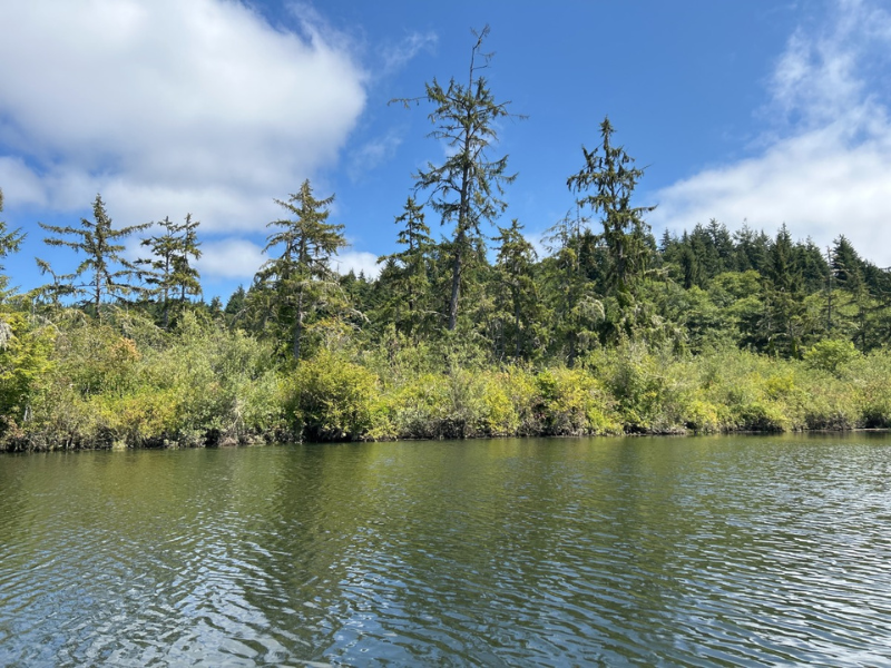 North Coast Land Conservancy embraces Indigenous land ethics | The Astorian